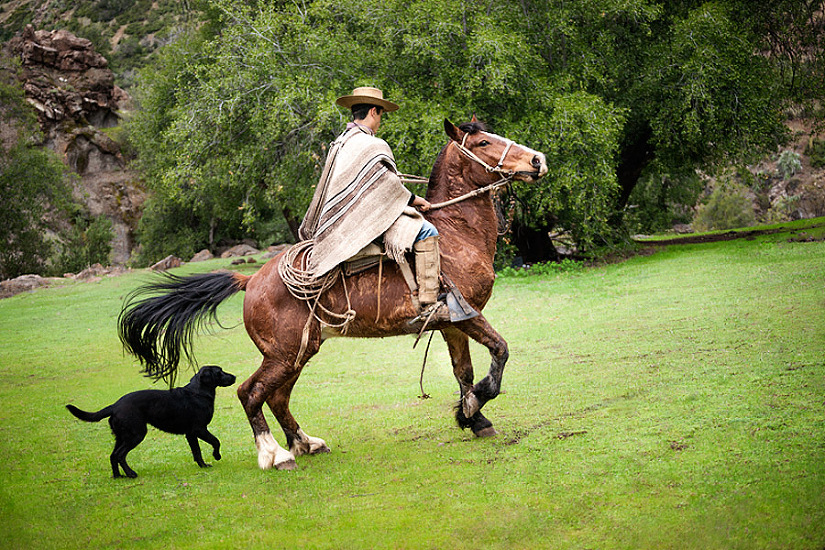 Chilean Cowboys & Horses in Cajon del Maipo, Chile » Travel Photography ...